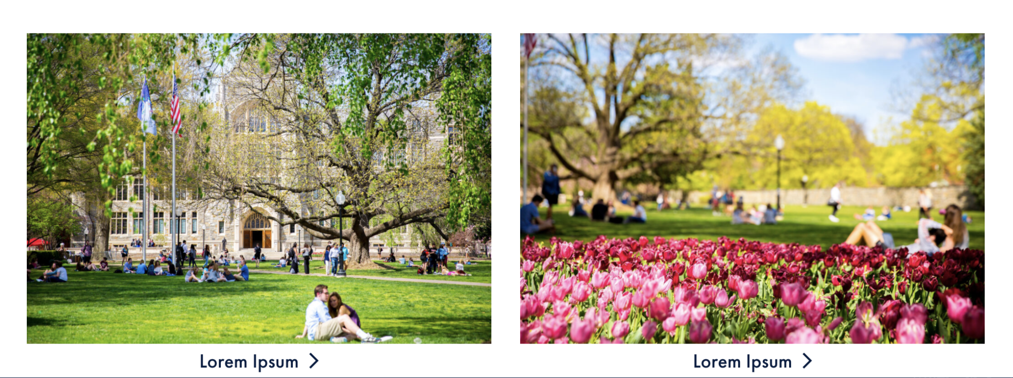 Calls to Action | 1789 Handbook | Georgetown University