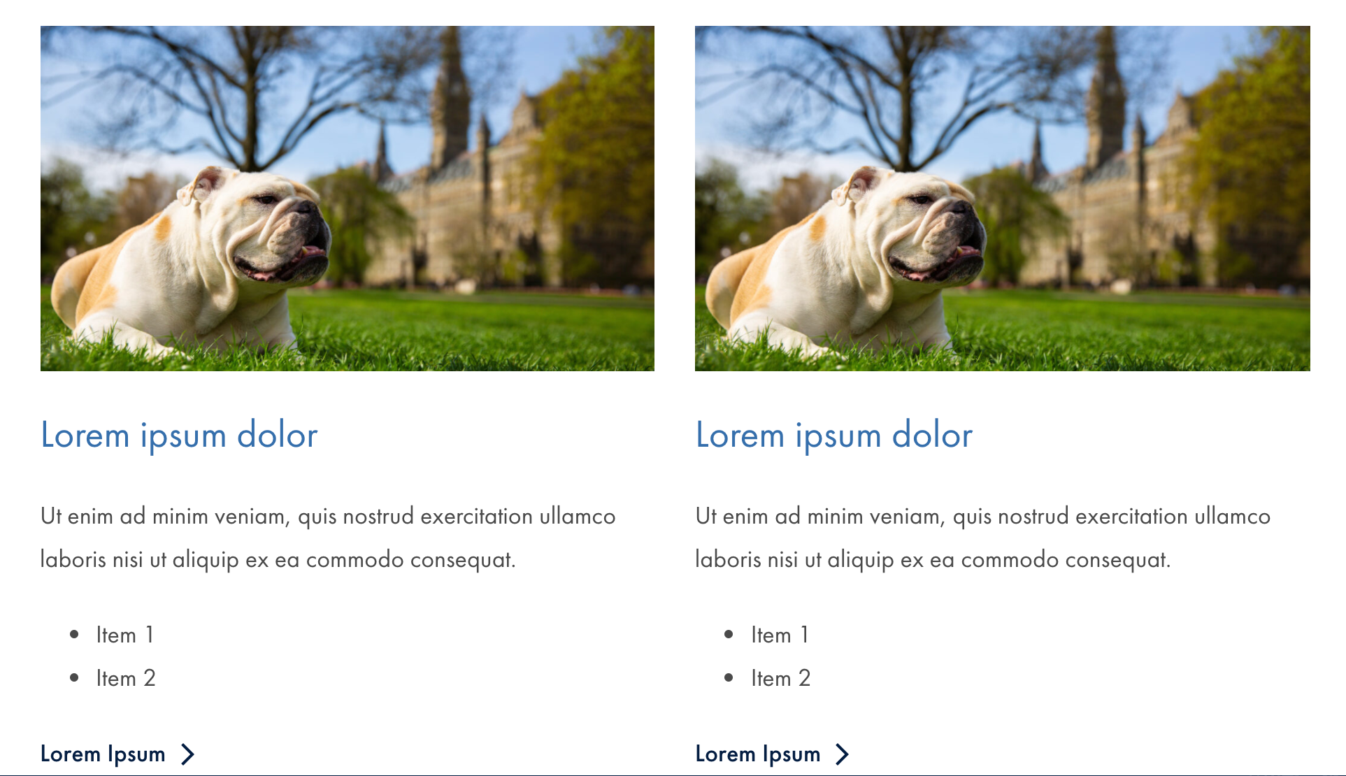 Informational | 1789 Handbook | Georgetown University