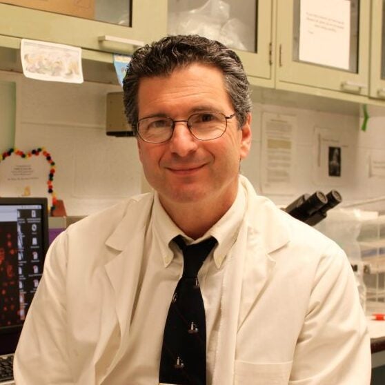 Research Faculty | Biomedical and Health Sciences | Georgetown University