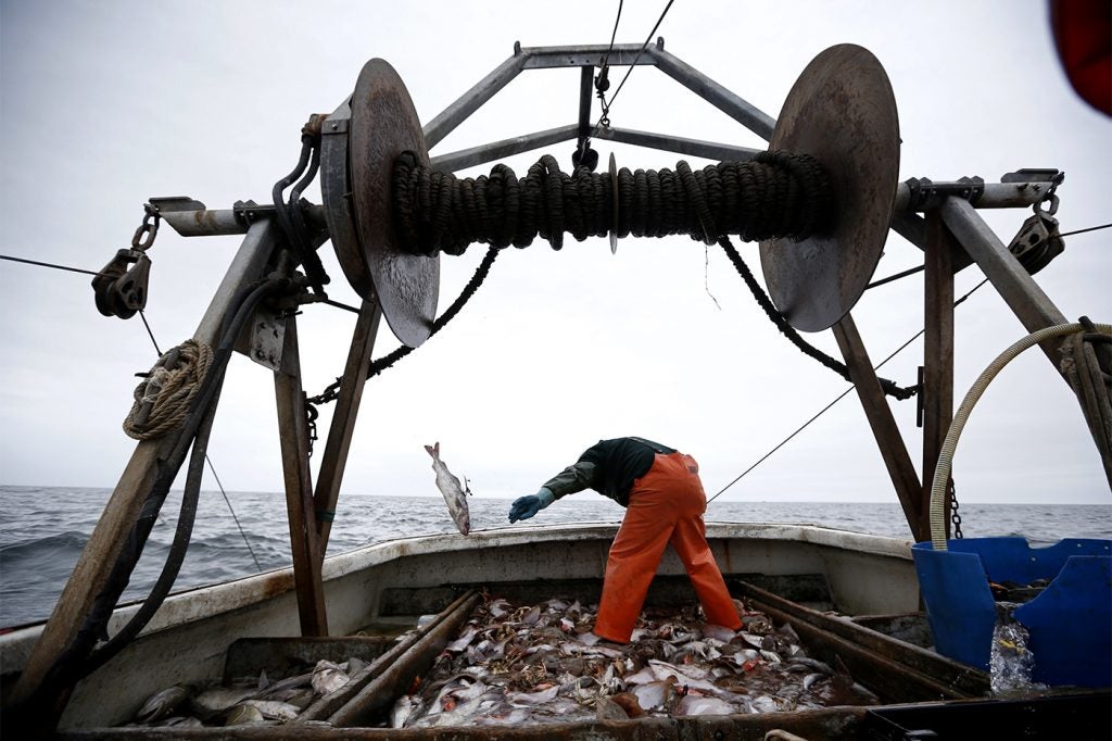 WCP: Fishing Industry Workers Struggle to Beat Long Odds | Kalmanovitz ...
